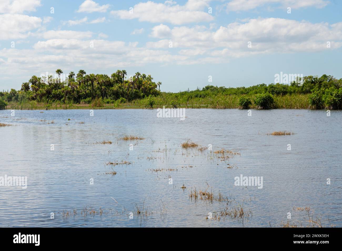 Everglades wetland prairie hi-res stock photography and images - Alamy