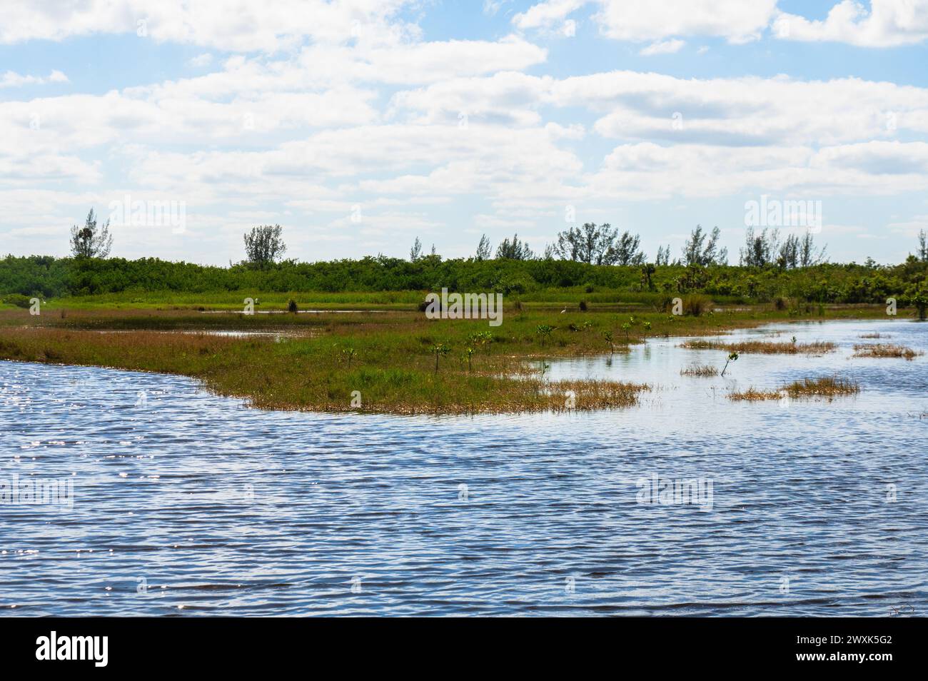 Everglades wetland prairie hi-res stock photography and images - Alamy