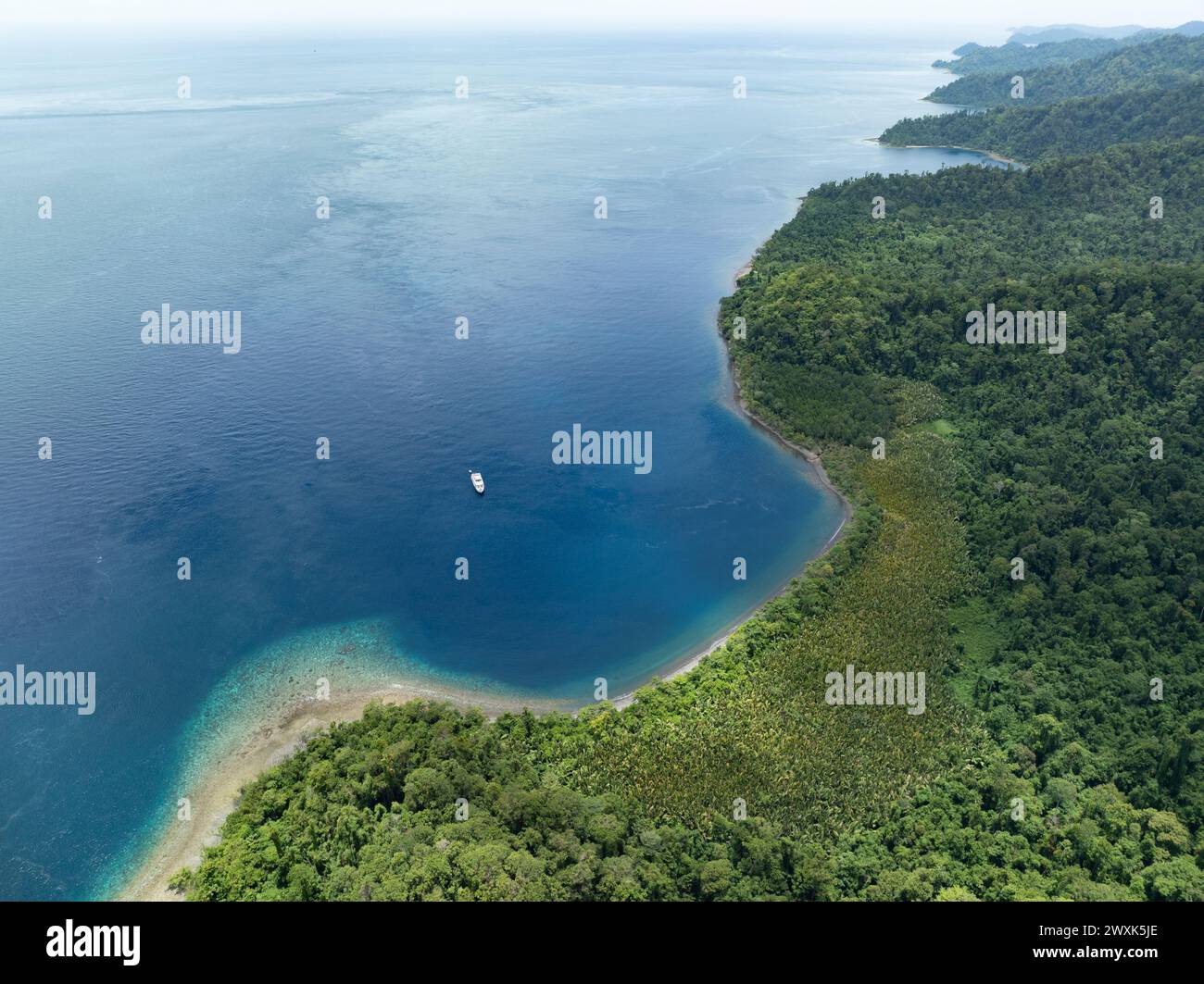 Thick rainforest covers the scenic coast of southern Batanta, Raja ...
