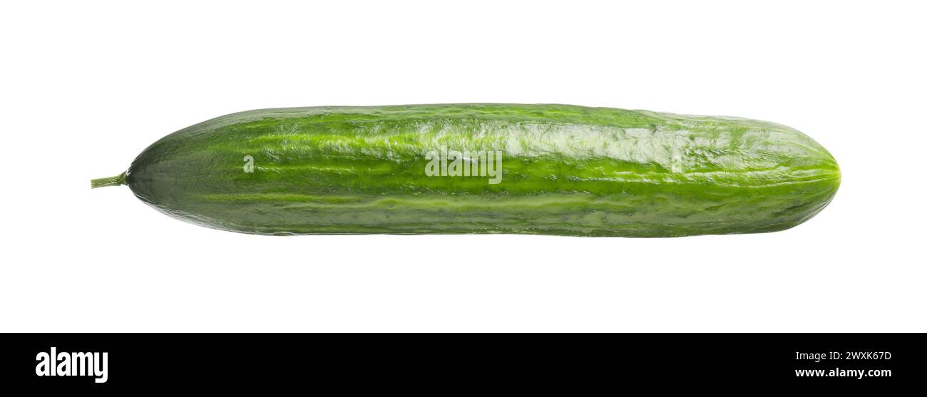 One long fresh cucumber isolated on white Stock Photo - Alamy