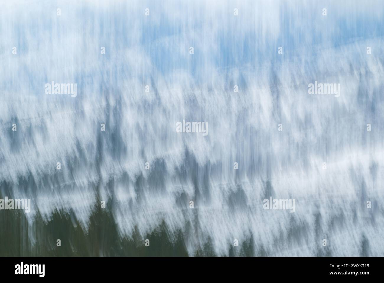 Intentional Camera Movement (ICM) of sparse forest and snow-covered ...