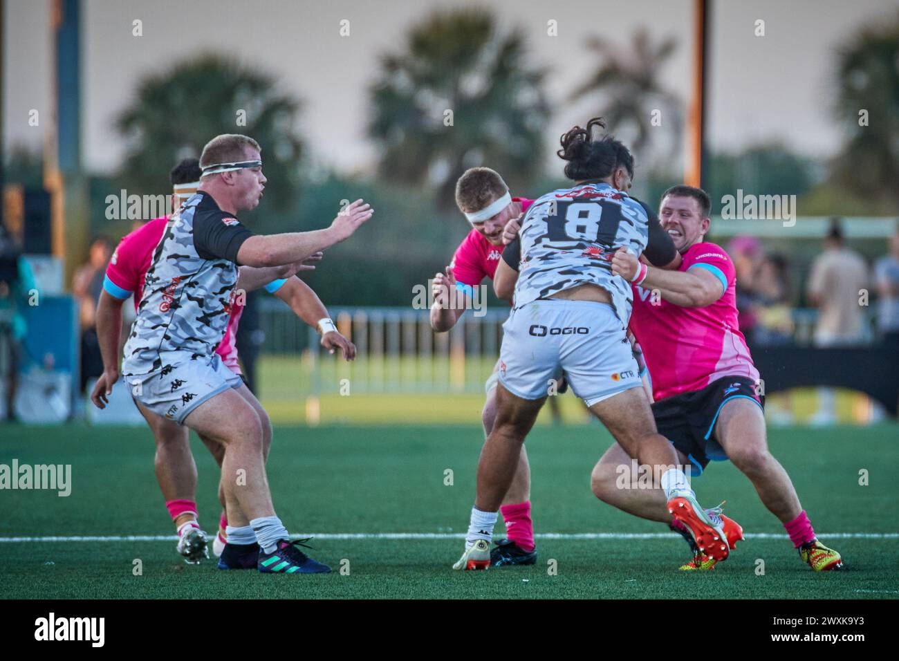 Miami shark rugby club hi-res stock photography and images - Alamy
