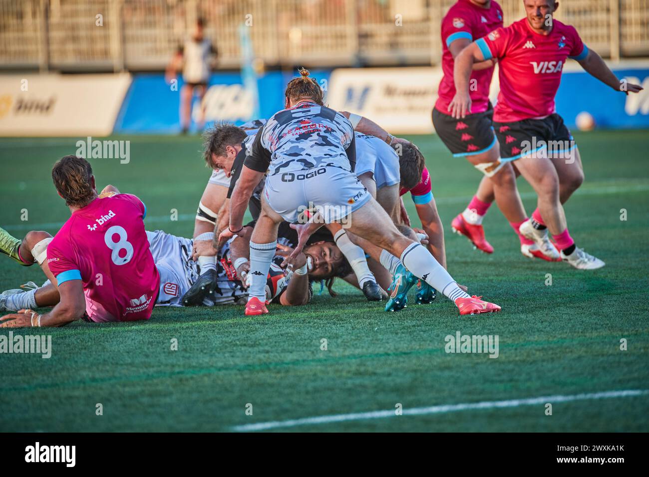 Miami shark rugby club hi-res stock photography and images - Alamy