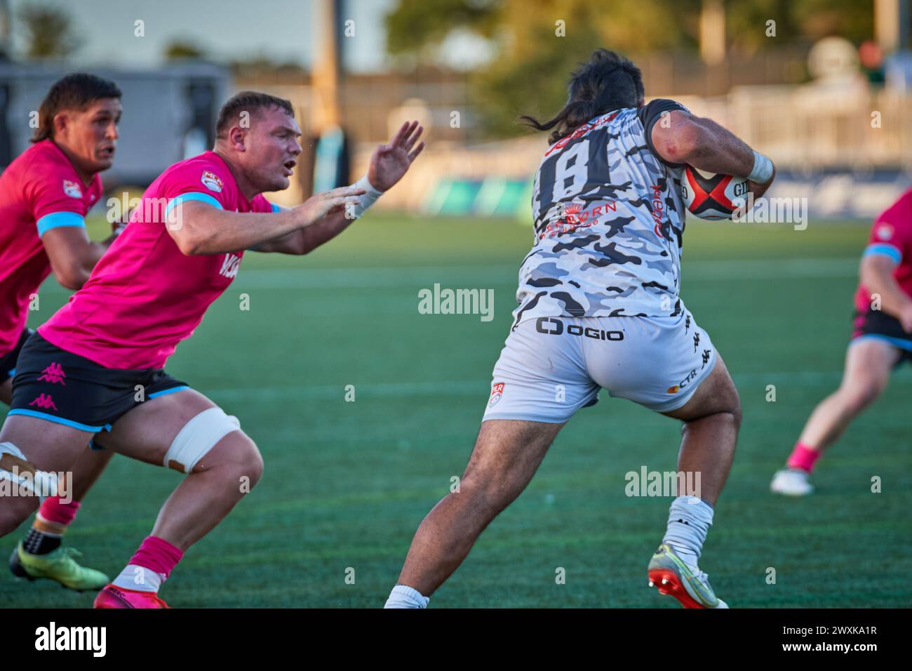 Fort Lauderdale, FL, USA. 31st March 2024. Miami Sharks v San Diego ...