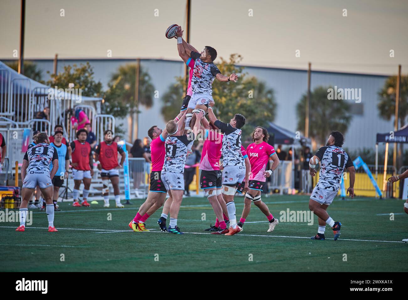 Miami shark rugby club hi-res stock photography and images - Alamy
