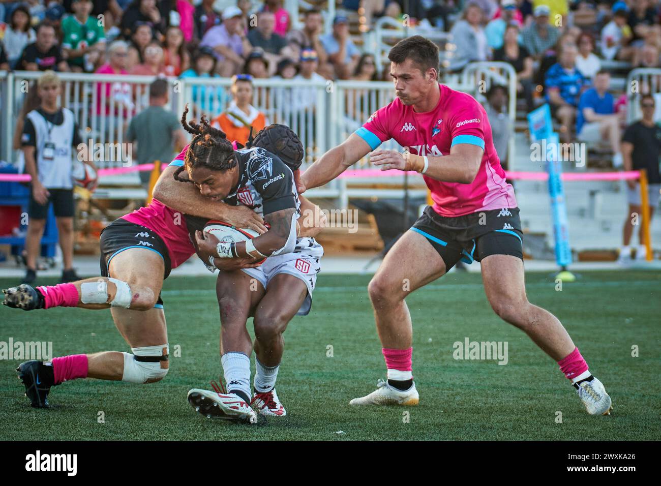 Miami shark rugby club hi-res stock photography and images - Alamy