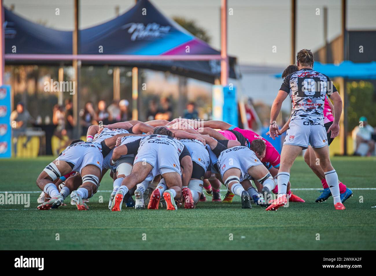 Fort Lauderdale, FL, USA. 31st March 2024. Miami Sharks v San Diego Legion regular MLR Rugby ...