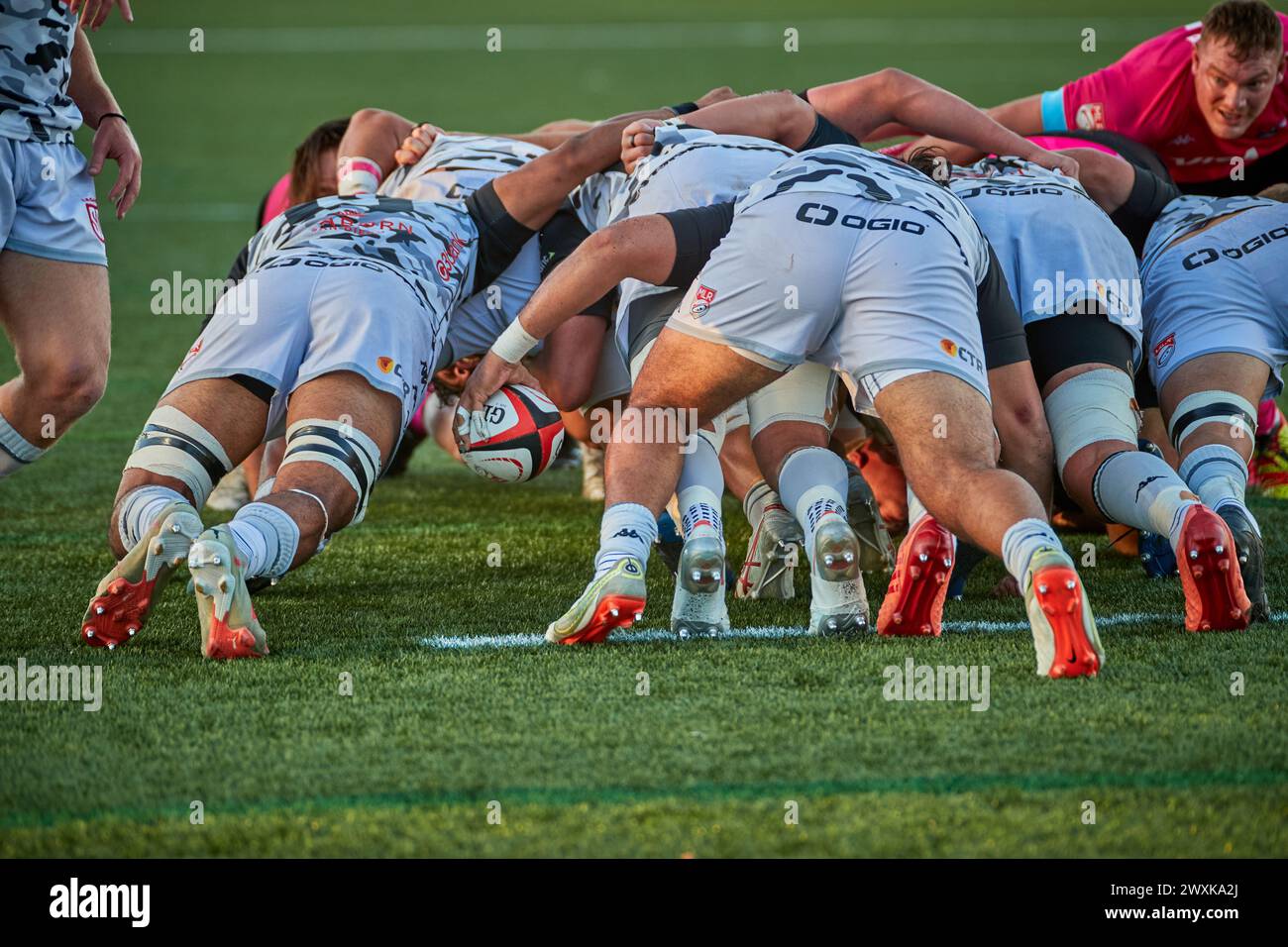Fort Lauderdale, FL, USA. 31st March 2024. Miami Sharks v San Diego ...
