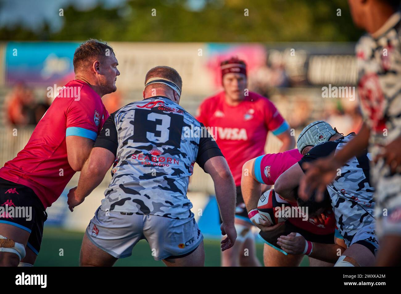 Fort Lauderdale, FL, USA. 31st March 2024. Miami Sharks v San Diego Legion regular MLR Rugby ...