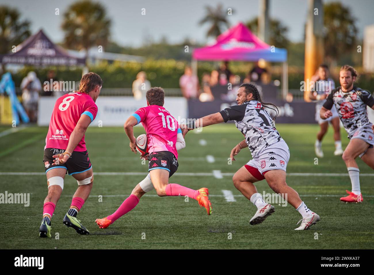 Miami shark rugby club hi-res stock photography and images - Alamy