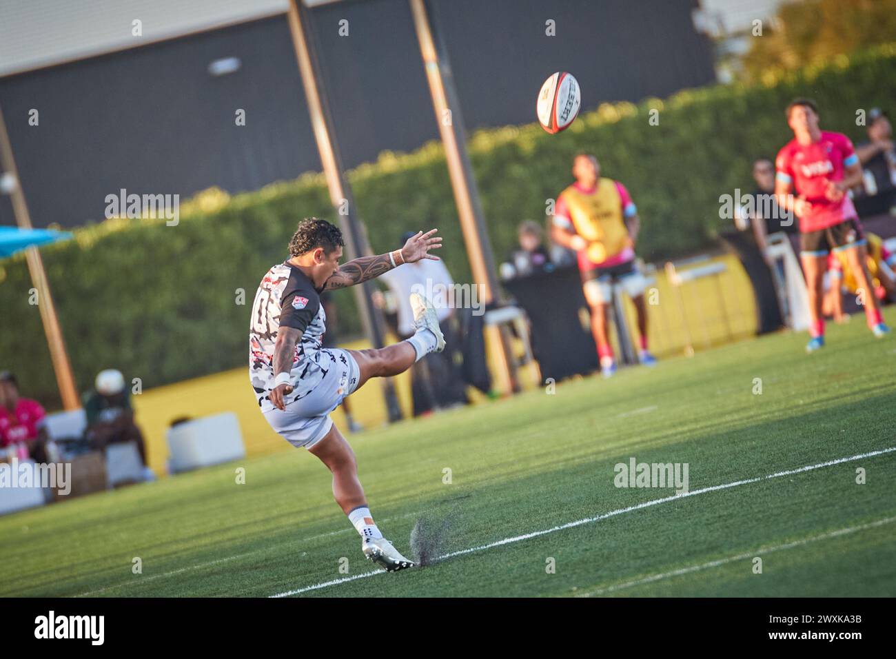 Miami shark rugby club hi-res stock photography and images - Alamy