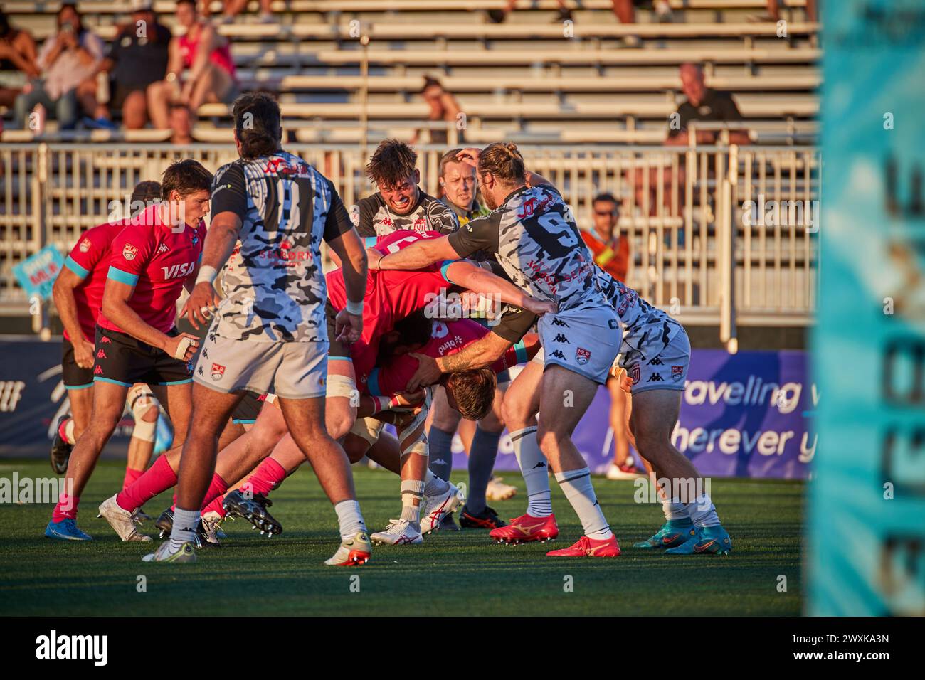 Miami shark rugby club hi-res stock photography and images - Alamy