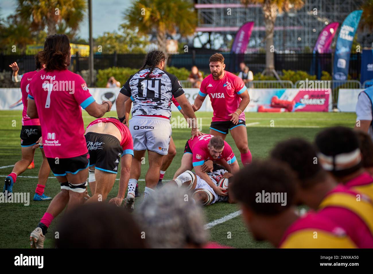 Fort Lauderdale, FL, USA. 31st March 2024. Miami Sharks v San Diego Legion regular MLR Rugby ...
