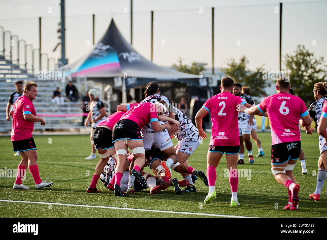 Miami shark rugby club hi-res stock photography and images - Alamy