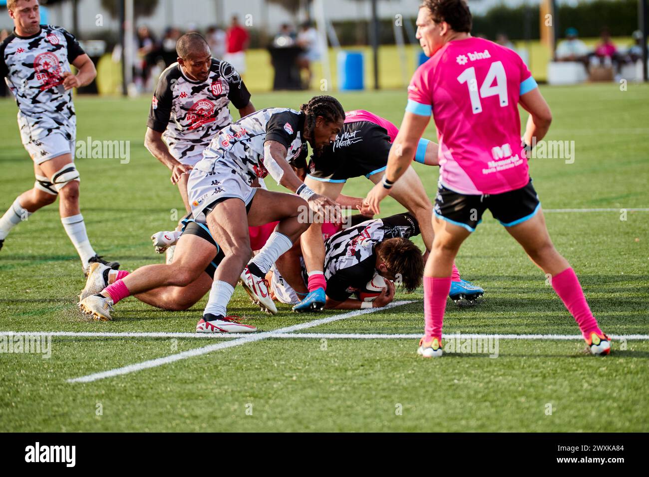 Fort Lauderdale, FL, USA. 31st March 2024. Miami Sharks v San Diego Legion regular MLR Rugby ...