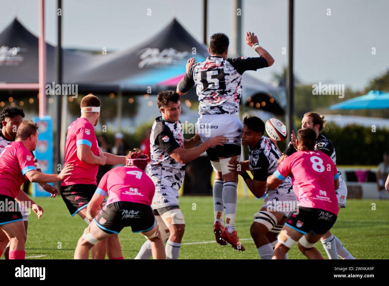 Miami shark rugby club hi-res stock photography and images - Alamy