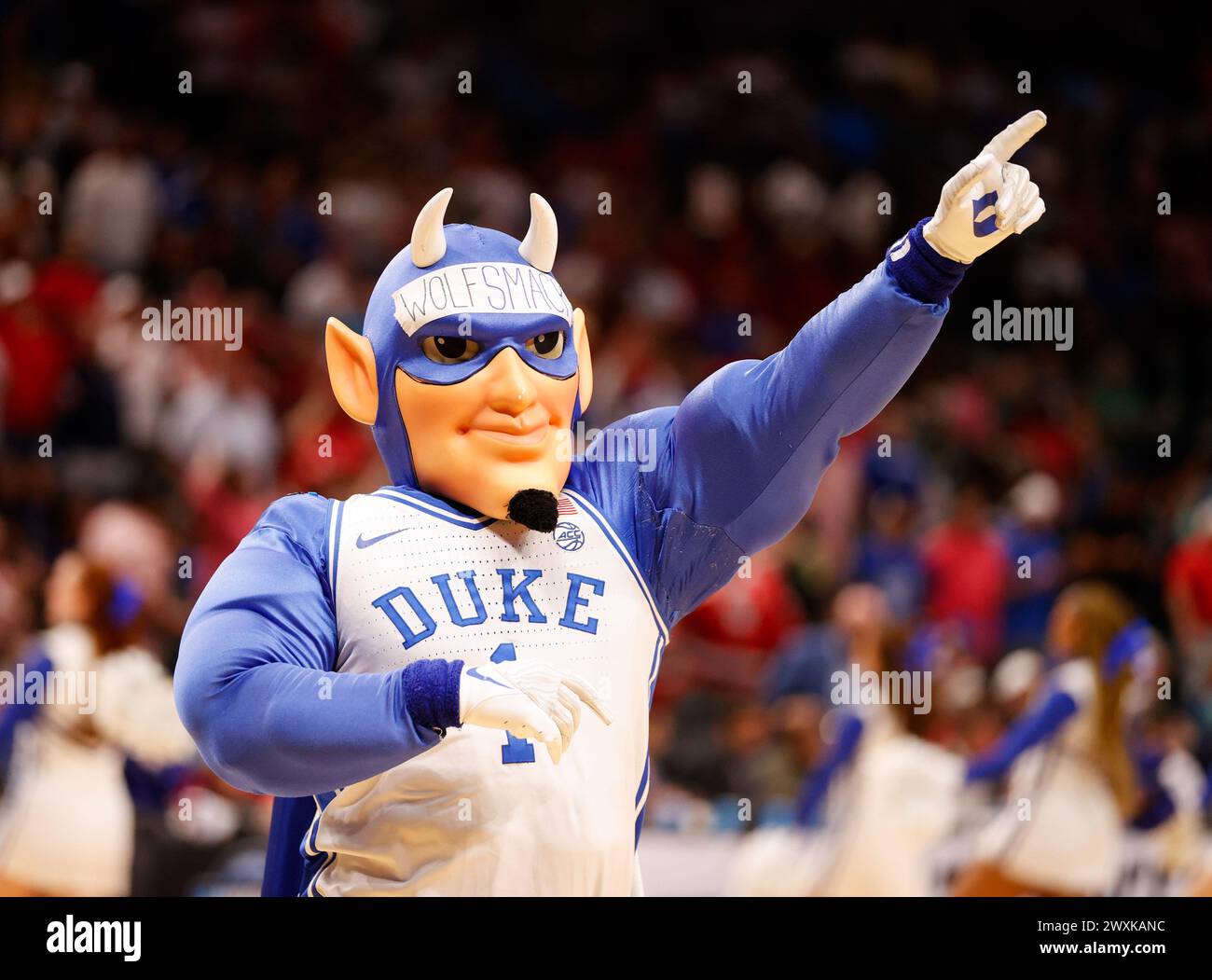 Duke mascot 2024 hi-res stock photography and images - Alamy