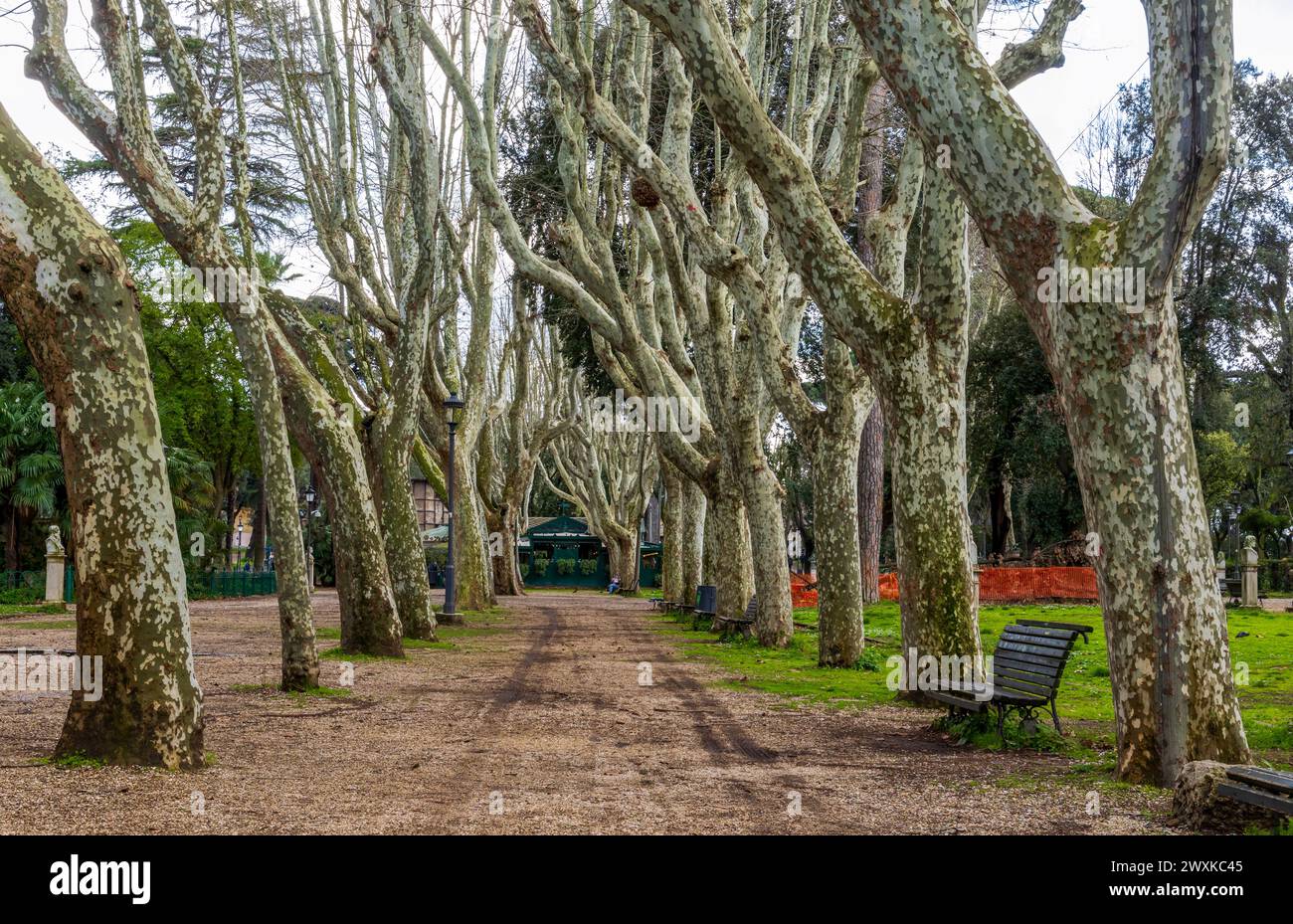 Public park Pincian Hill, Villa Borghese gardens in Rome, Italy Stock ...