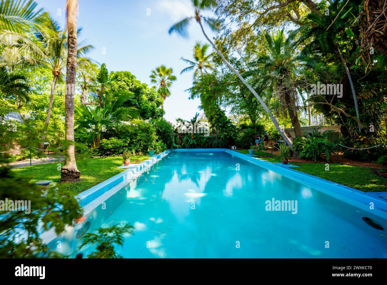 Swimming pool at Hemmingway Home Key West Florida Stock Photo - Alamy