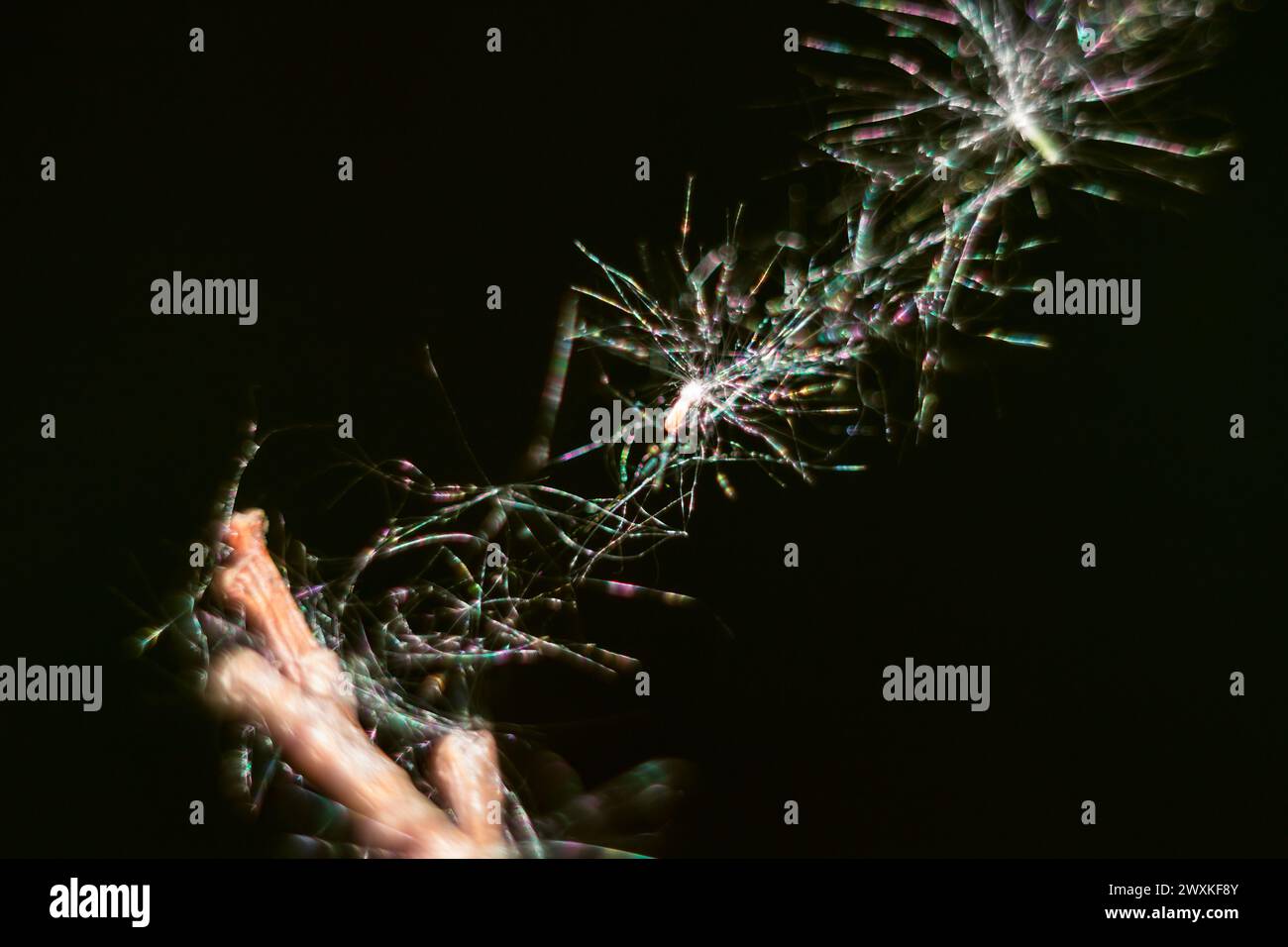 Willow fluff hi-res stock photography and images - Alamy