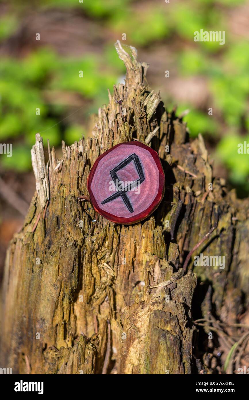 Rune Odal (Othala) carved from wood on an old stump - Elder Futhark ...