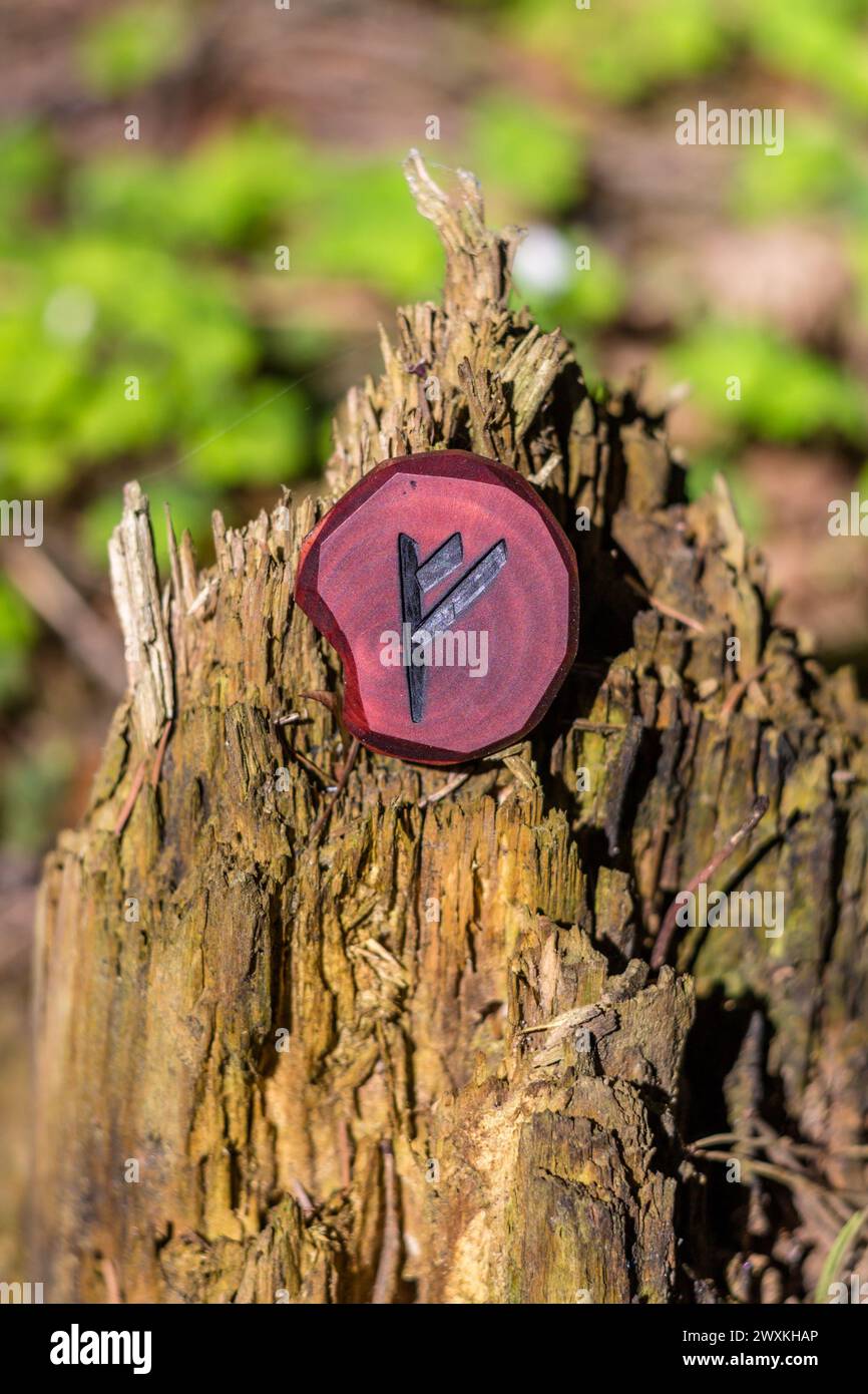 Rune Fehu carved from wood on an old stump - Elder Futhark Stock Photo ...
