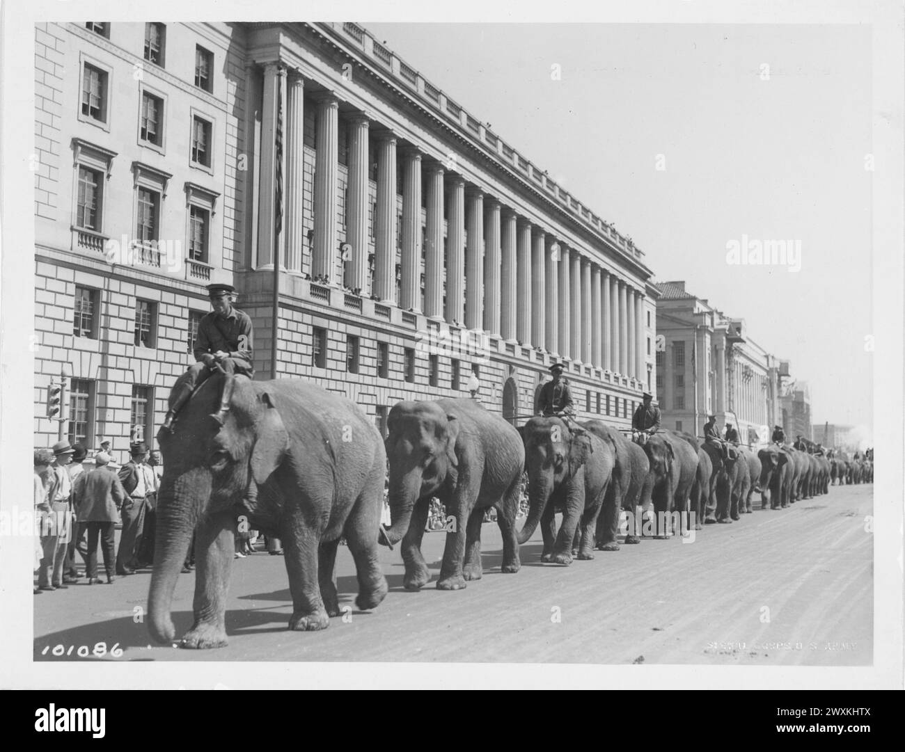 Cirucs parade Black and White Stock Photos & Images - Alamy