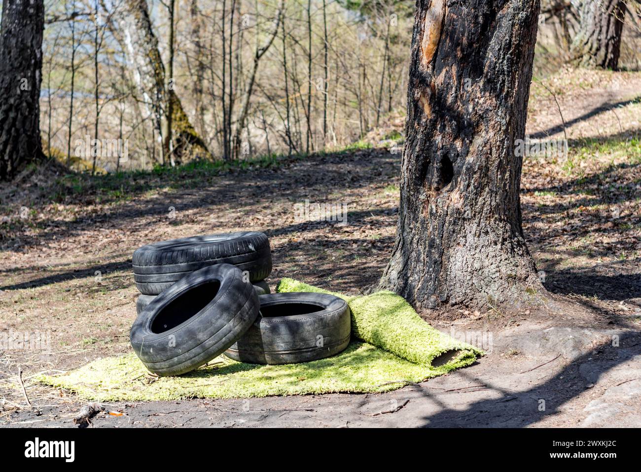Discarded car tires in nature, environmental pollution Stock Photo - Alamy