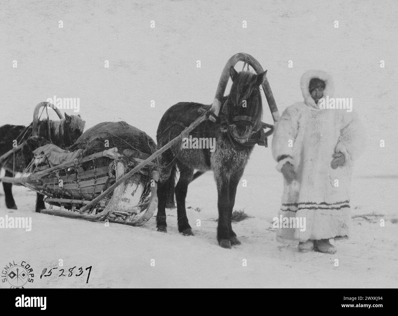Rusky driver hi-res stock photography and images - Alamy