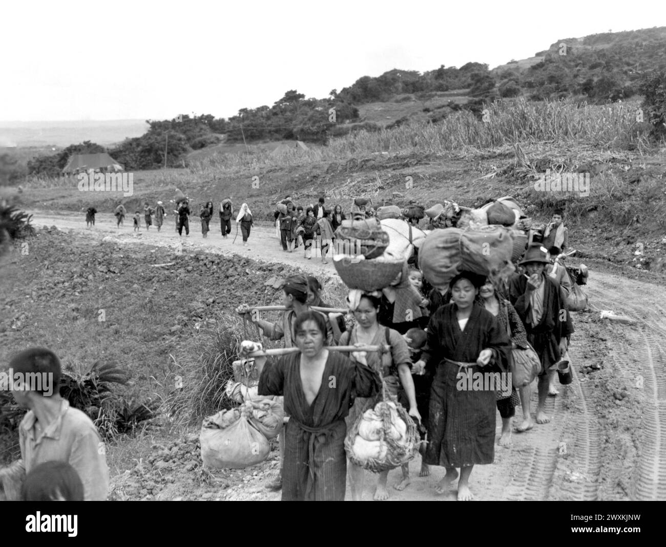 Okinawa Civilians Trudge Along a Road to the Area Designated by the ...