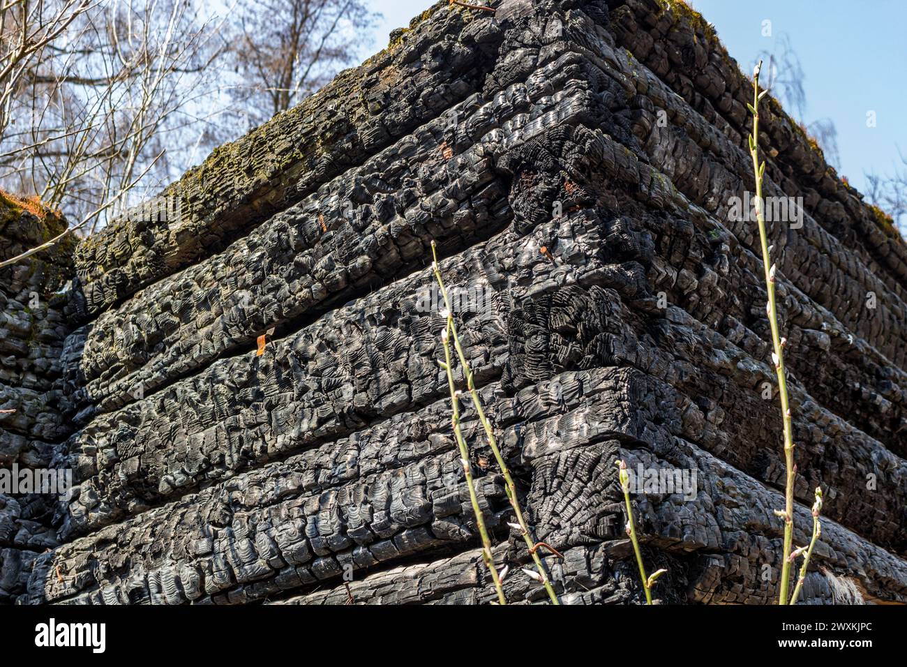 Burnt wooden house, charred wooden walls Stock Photo - Alamy