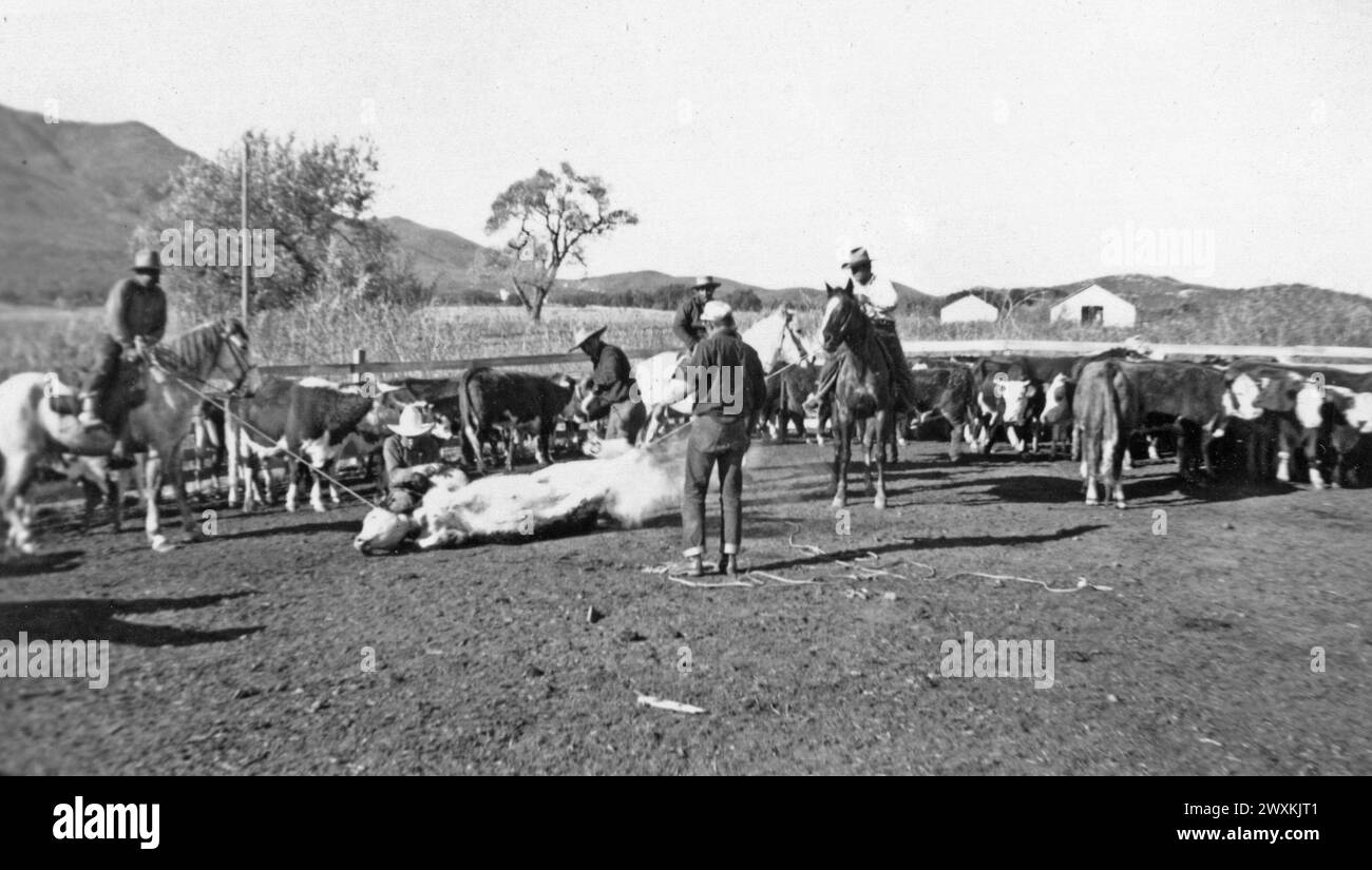 Kumeyaay native american hi-res stock photography and images - Alamy