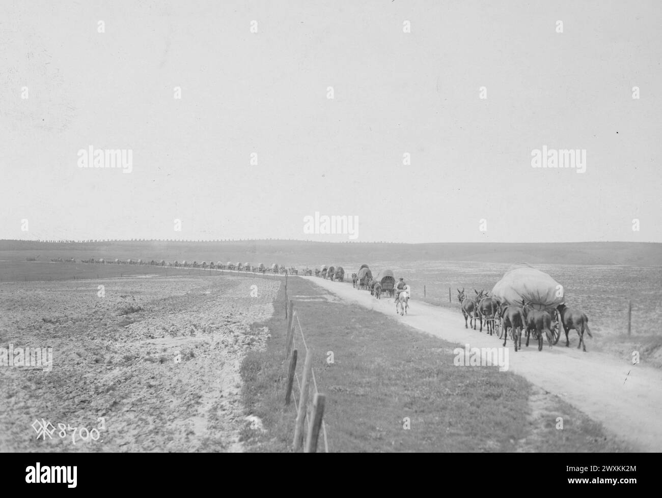 40th Division troops at Camp Kearny in San Diego on a 10 day hike ...