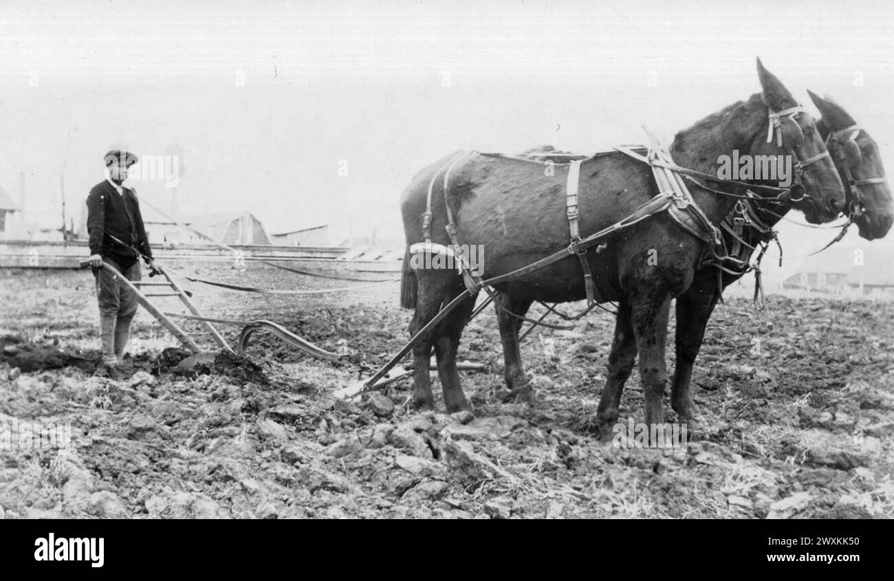 Boy plowing field hi-res stock photography and images - Alamy