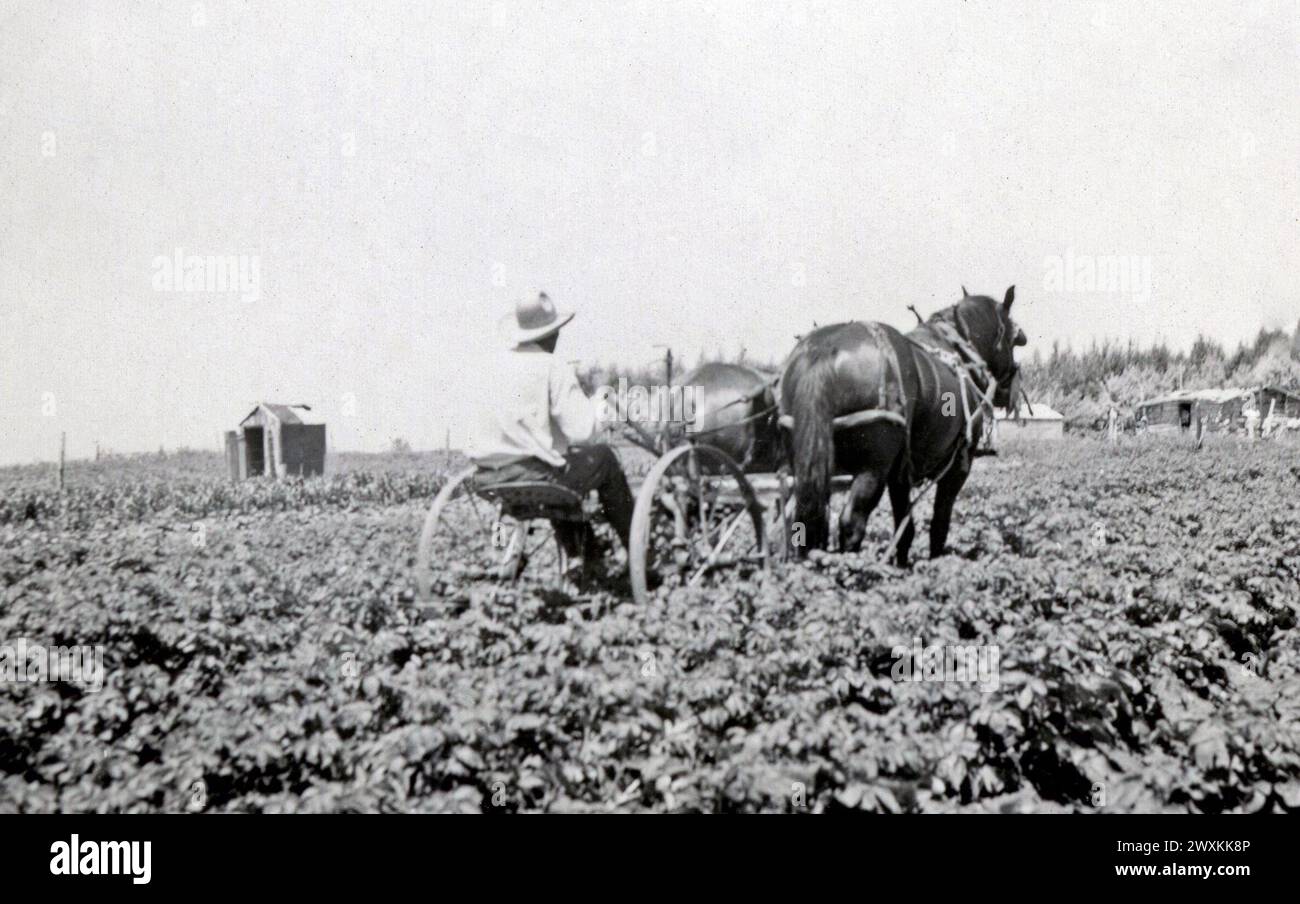 Archival farm implement hi-res stock photography and images - Alamy