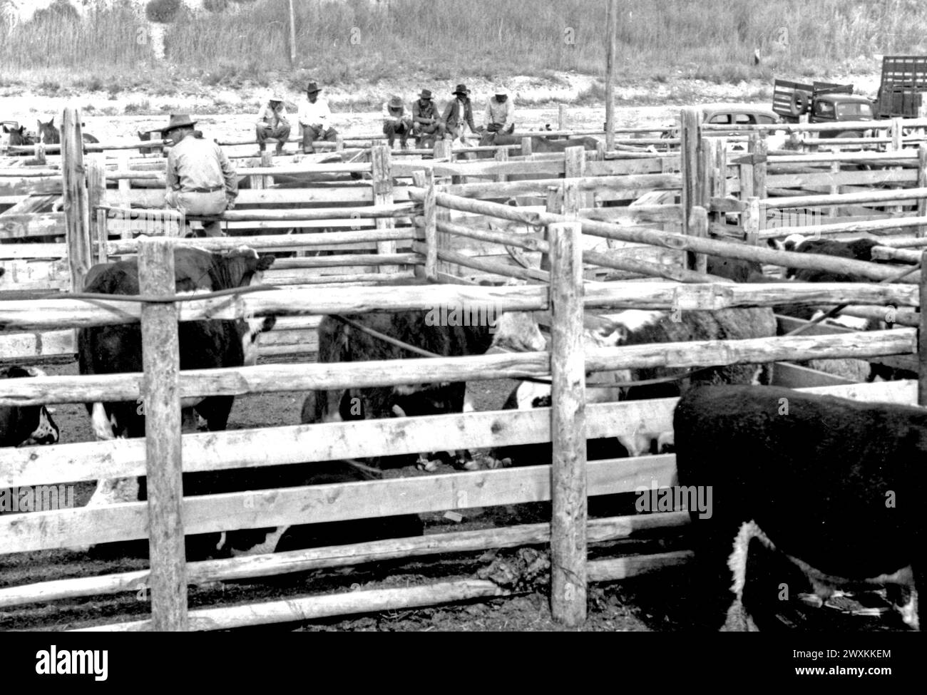 Cowboys sitting on rails of cattle pens on a Wyoming ranch ca. 1930s or ...