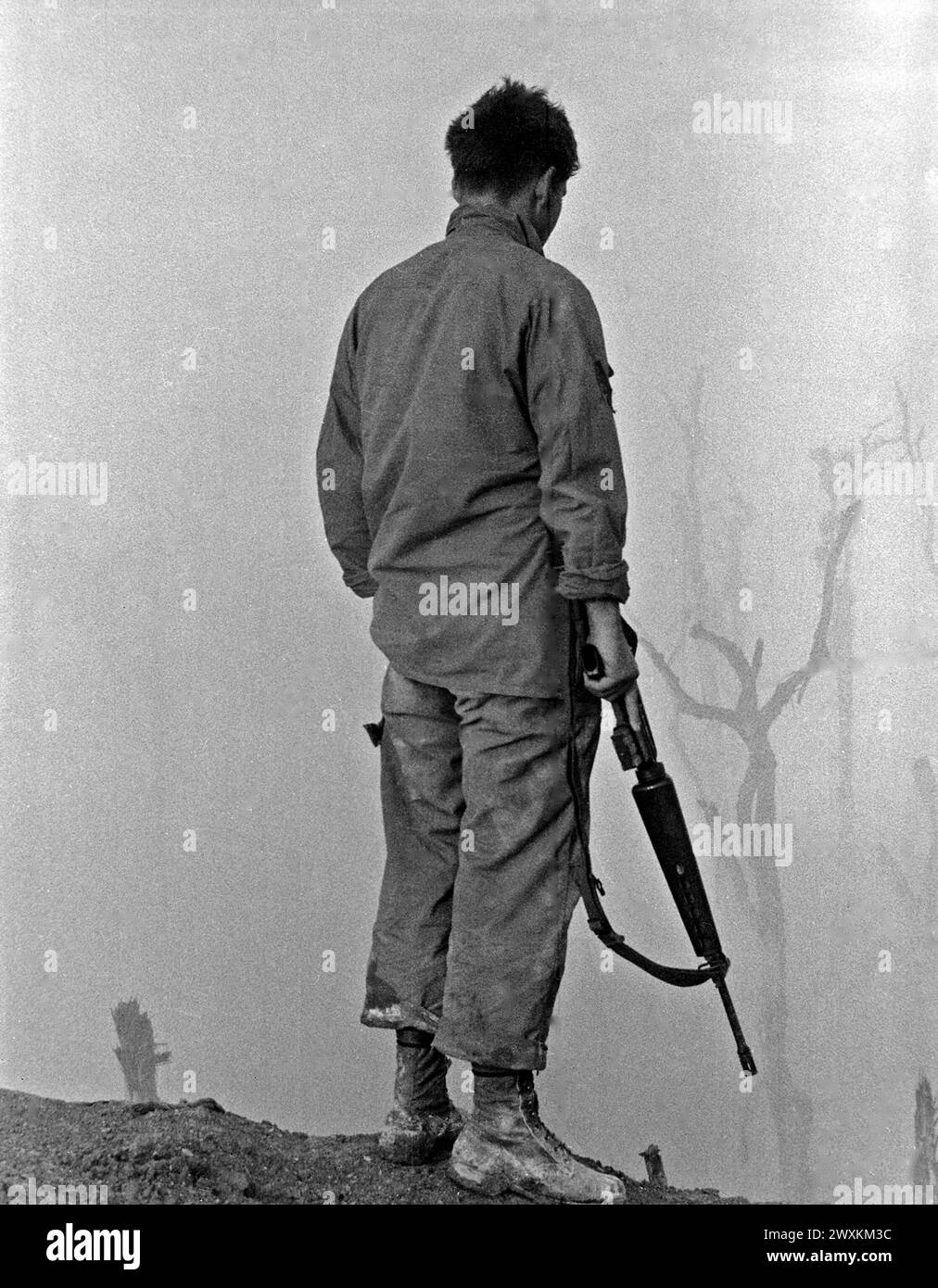 Vietnam War Photos 1968 1969
