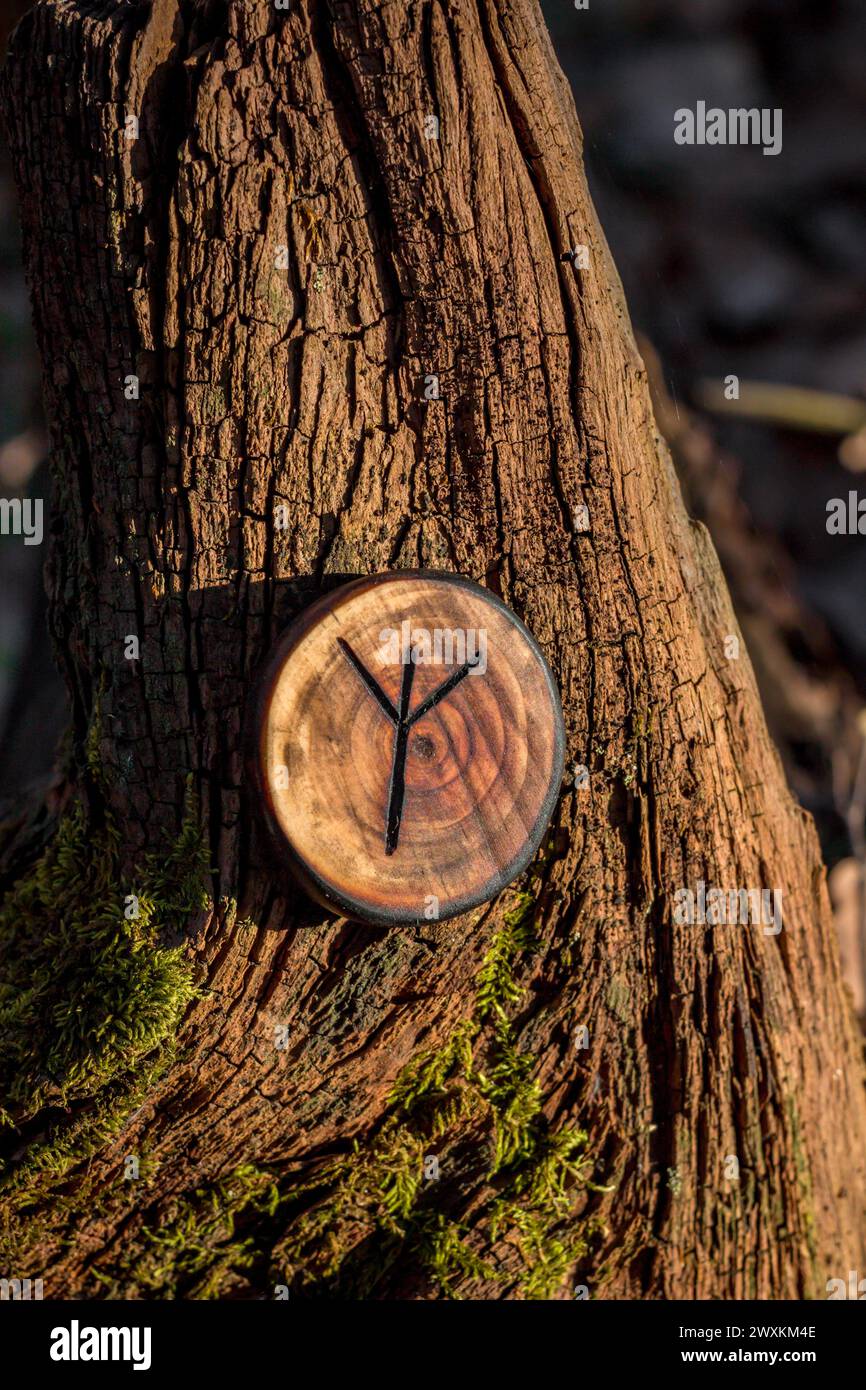 Rune of Algiz (also Elhaz) carved from wood on a dry stump Stock Photo ...