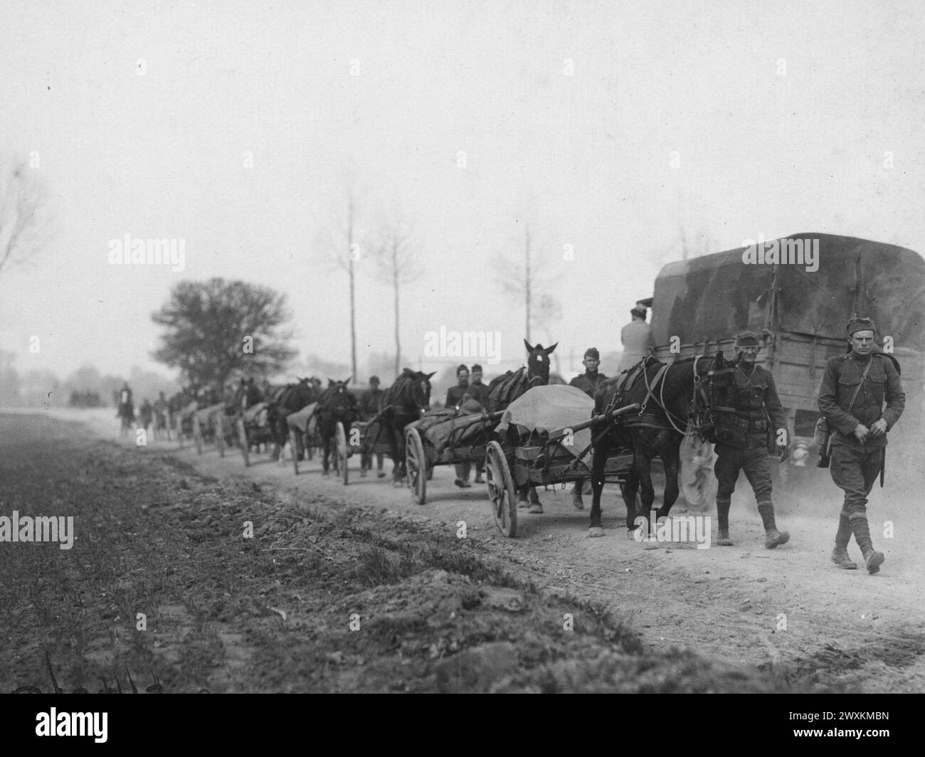 First trench mortar battery hi-res stock photography and images - Alamy