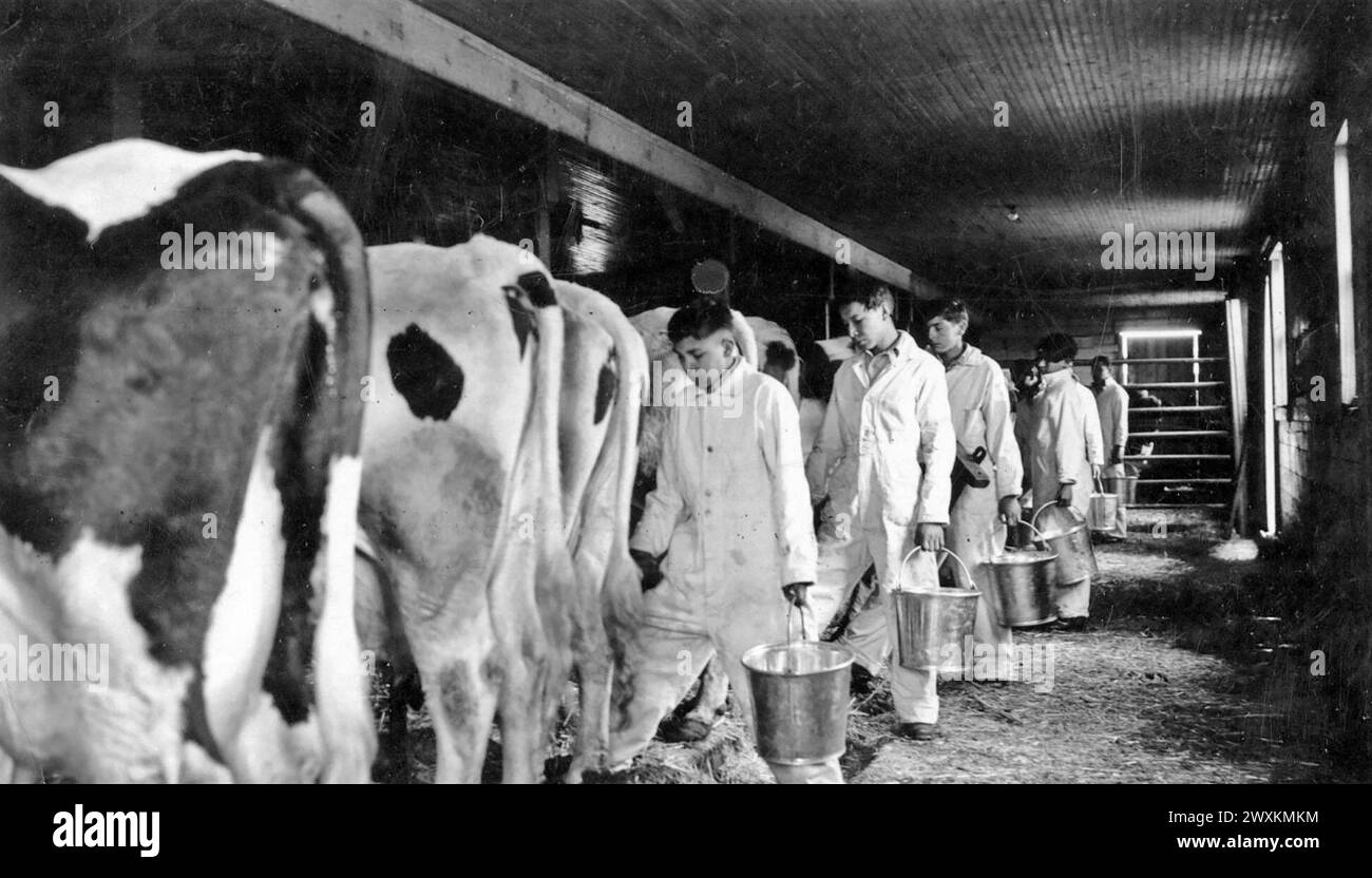 South dakota dairy farm hi-res stock photography and images - Alamy