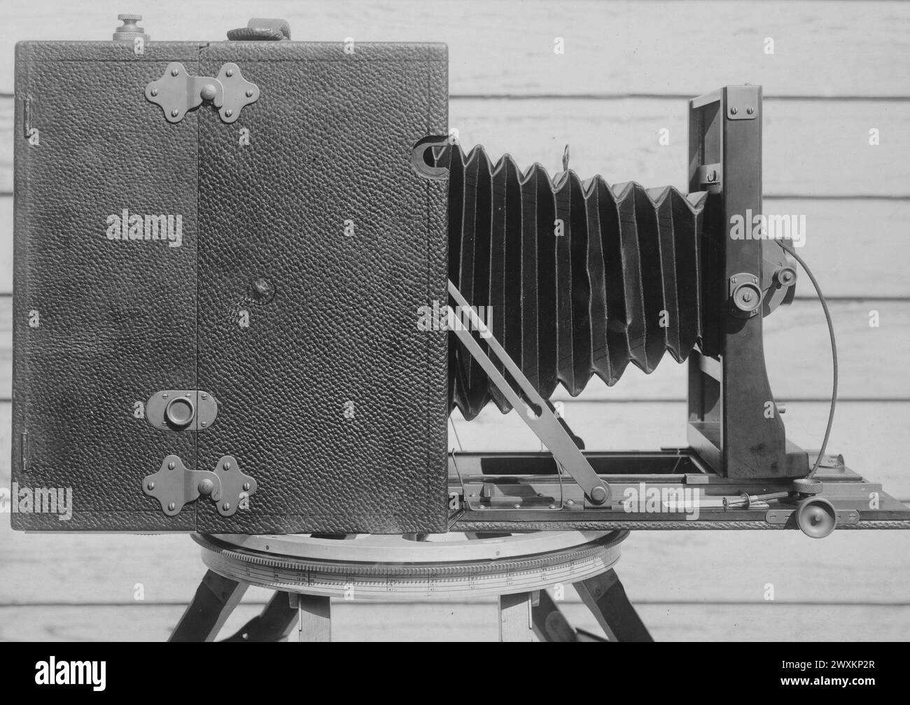 Facing cameras Black and White Stock Photos & Images - Alamy