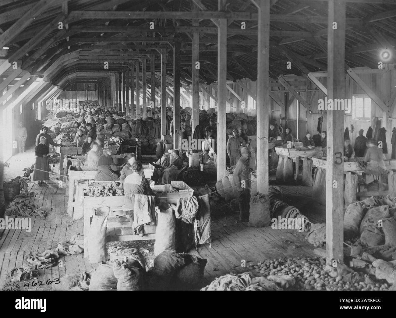 Interior of a potato storage warehouse in Coutras Gironde France where ...