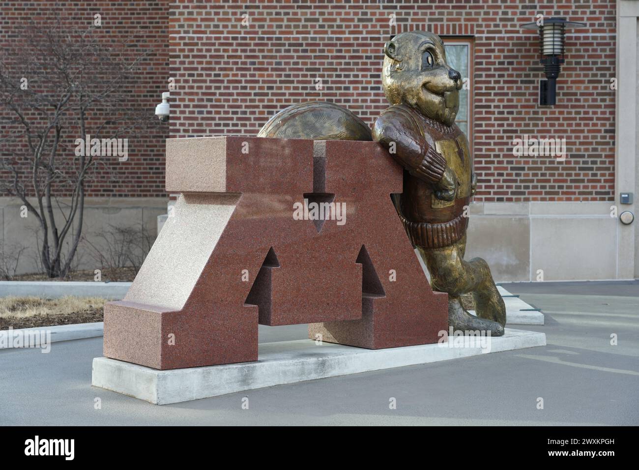 The goldy gopher statue on campus university minnesota hi-res stock ...