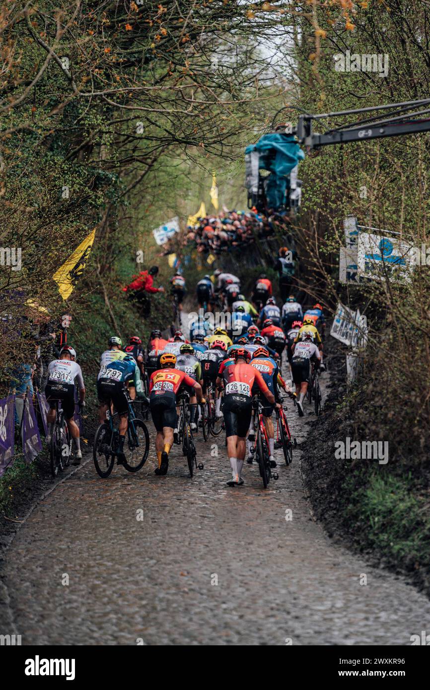 Picture by Zac Williams/SWpix.com - 31/03/2024 - Cycling - 2024 Ronde ...