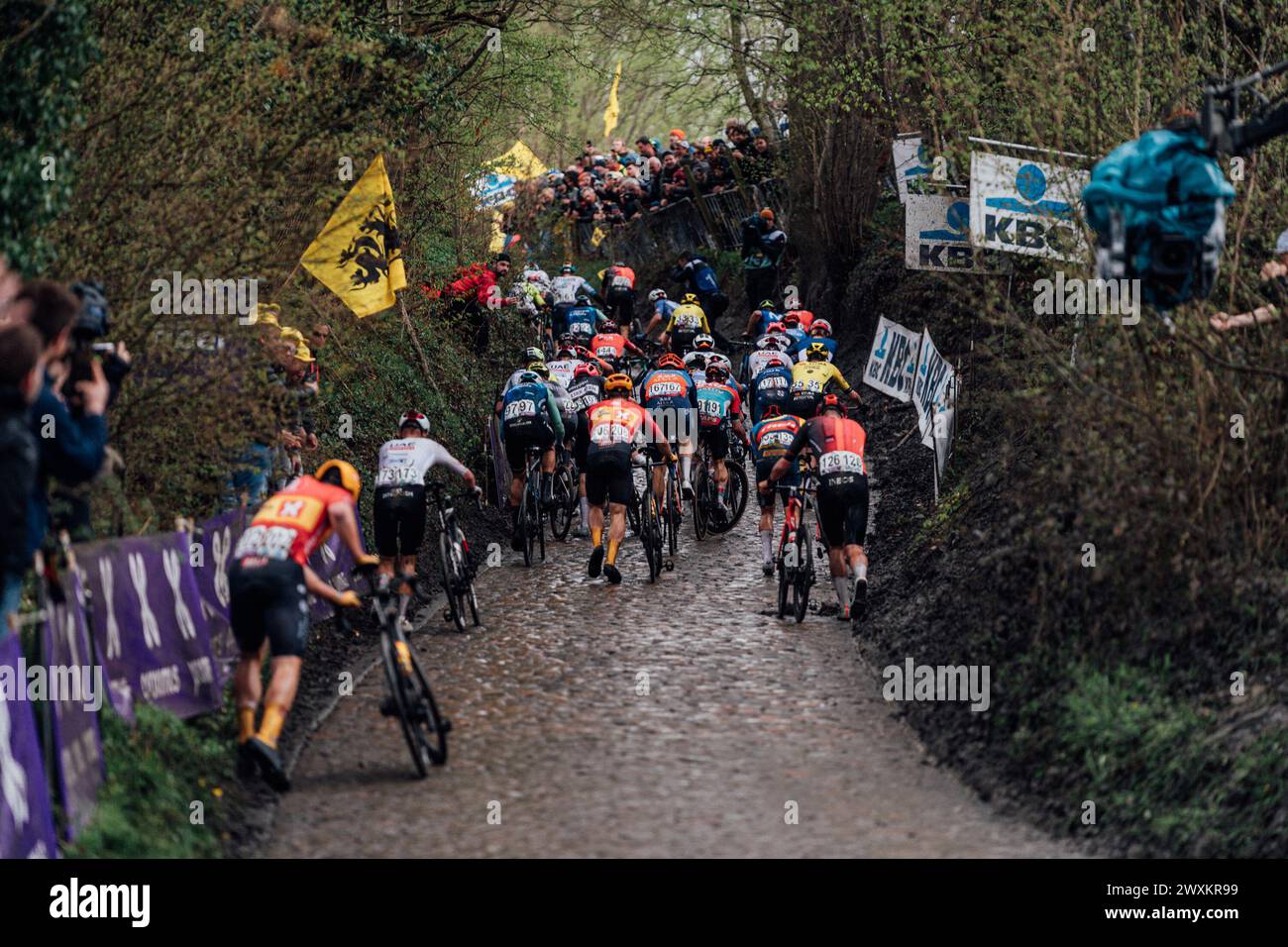 Oudenaarde, Belgium. 31st Mar, 2024. Picture by Zac Williams/SWpix.com ...