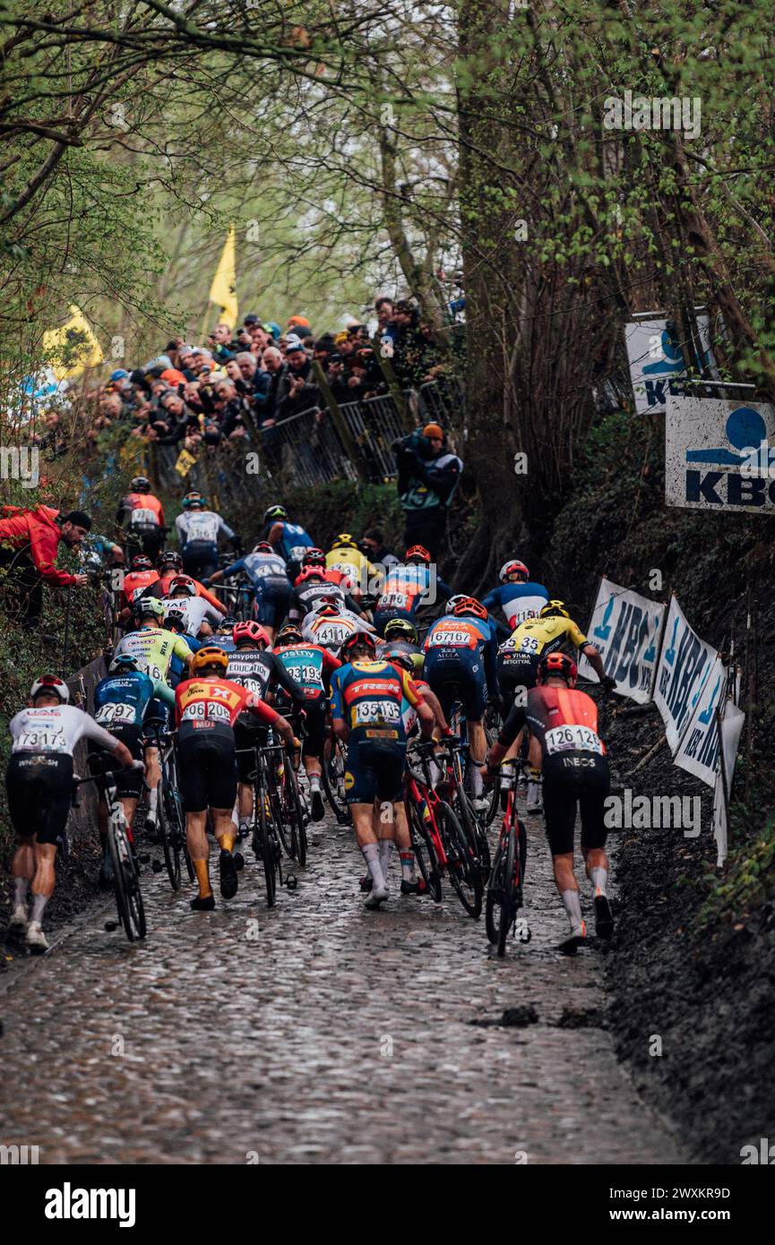 Oudenaarde, Belgium. 31st Mar, 2024. Picture by Zac Williams/SWpix.com ...