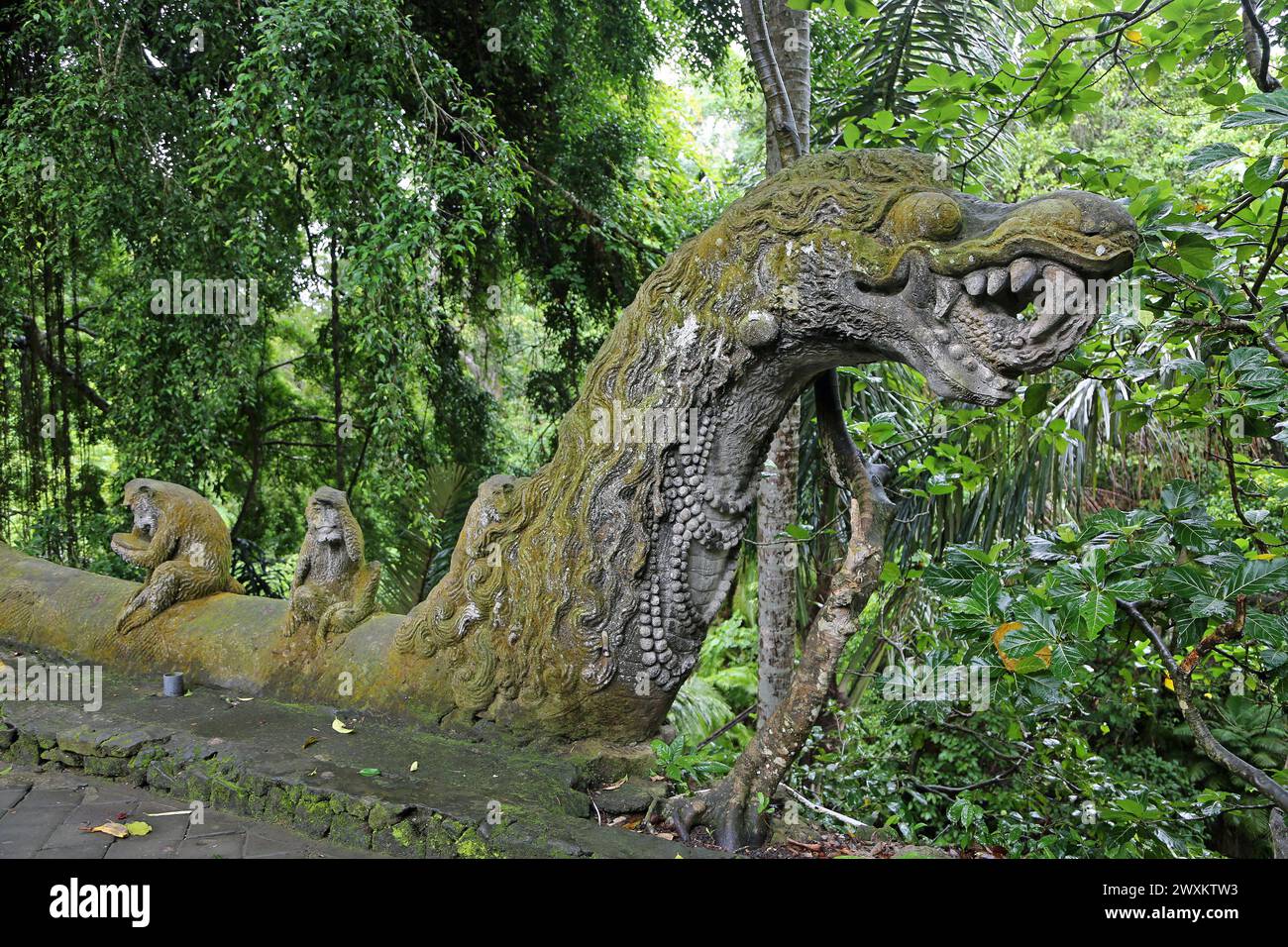 Ubud monkey forest sanctuary hi-res stock photography and images - Alamy