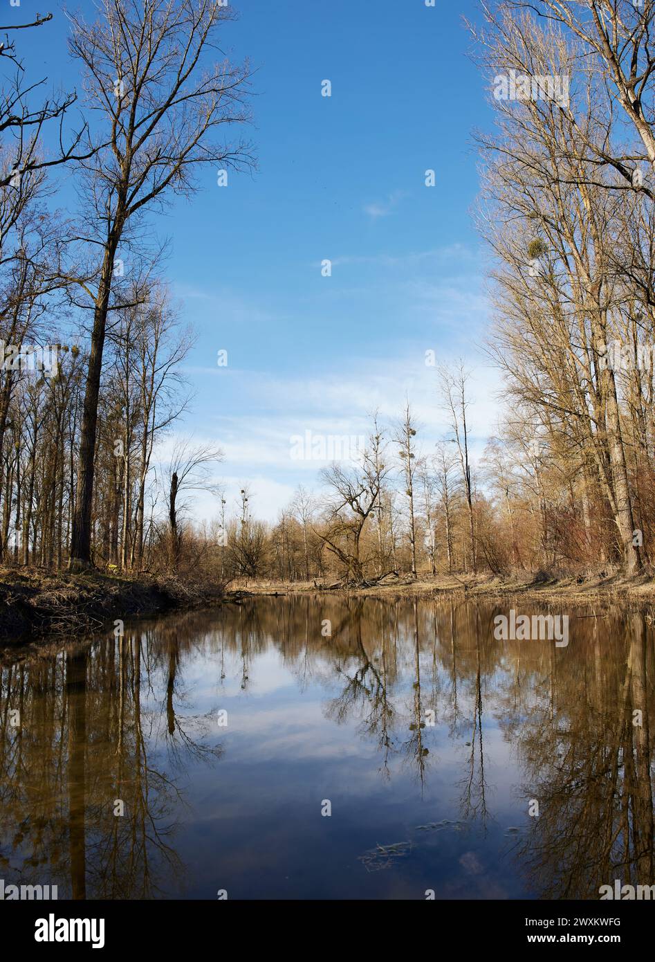 Beautiful reflective still waters hi-res stock photography and images ...