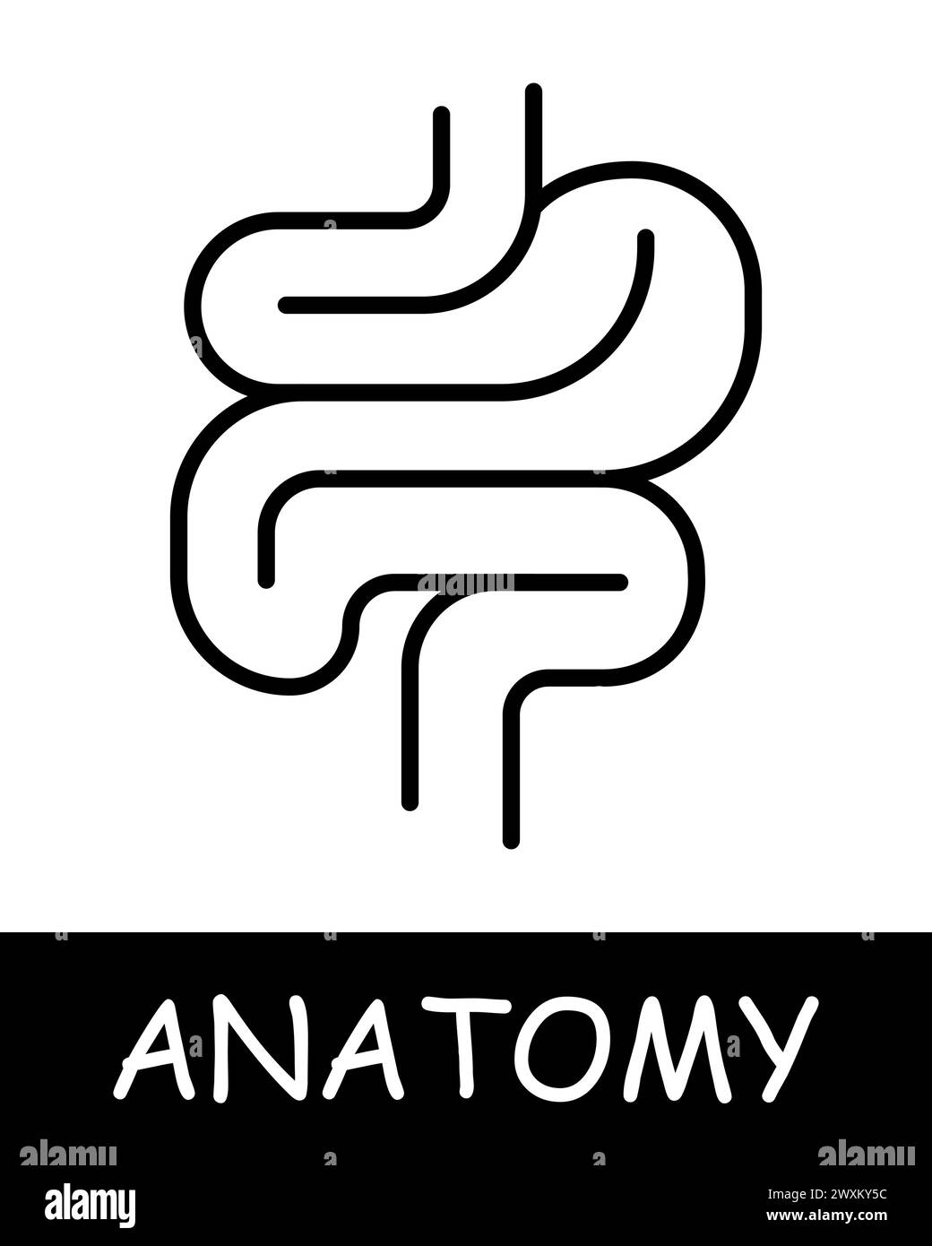 Intestine line icon. Filtration, health, digestion, anatomy, medicine ...