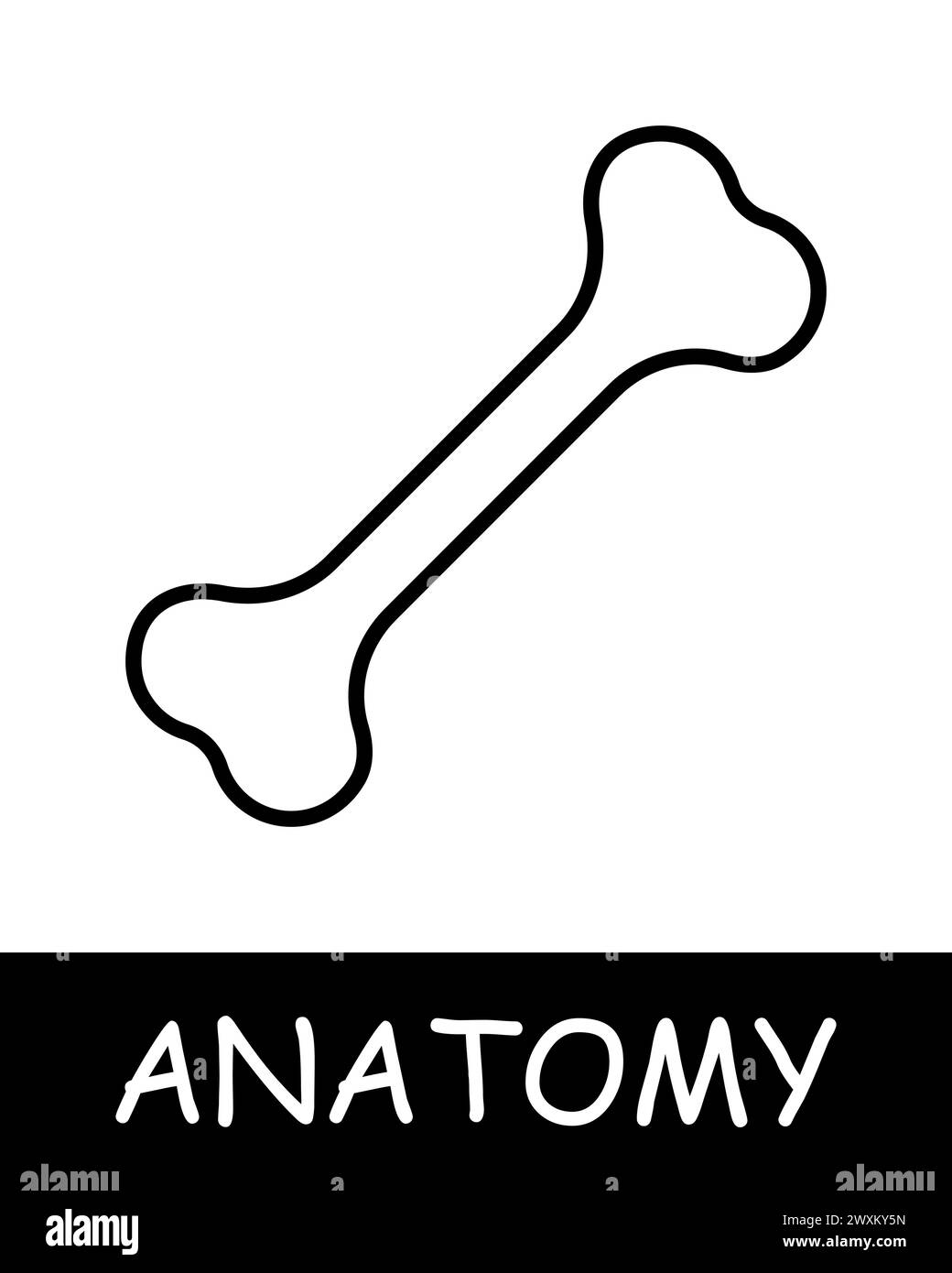 Bone line icon. Tendons, health, calcium, skeleton, anatomy, medicine ...